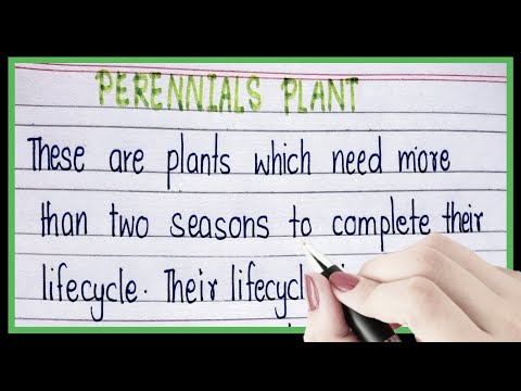What are perennial plant | Definition of perennial plant ☘️