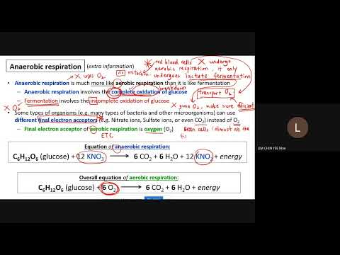 20th Biology class (2/3) Discussion on fermentation questions and concepts