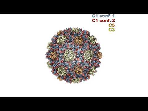 In-cell structure and snapshots of copia retrotransposons in intact tissue by cryo-ET
