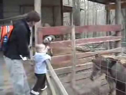Thomas at the Game Ranch