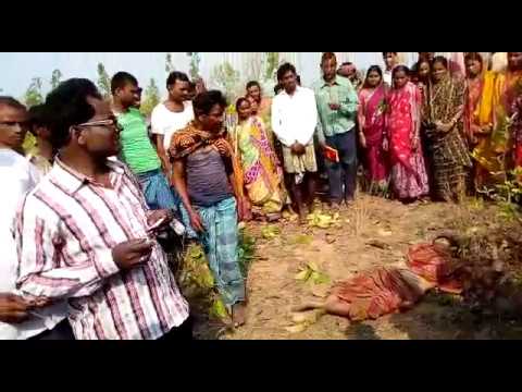Marauding elephants kill two in Jhargram
