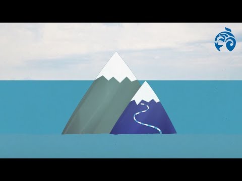 How Does Plastic End Up in the Ocean? | Explainer | Ocean Wise