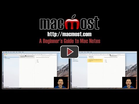 A Beginner's Guide to Mac Notes (#1518)