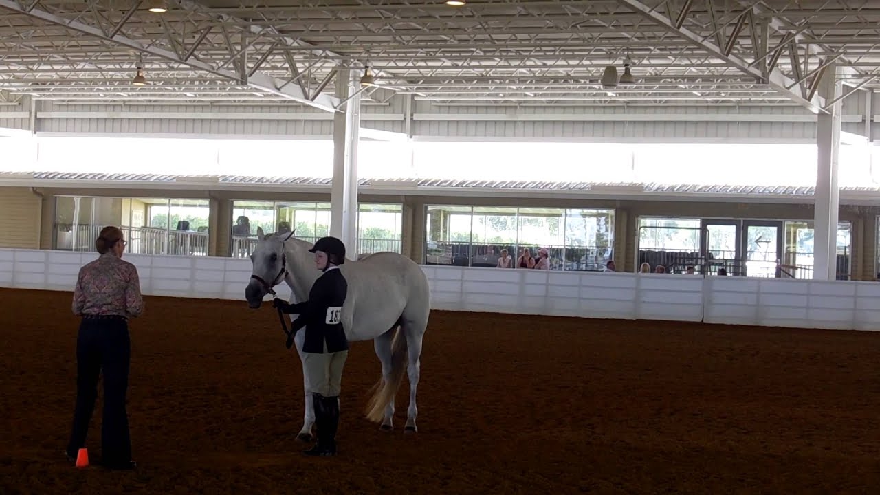 Jamison & Zriva - Showmanship Call Back Pattern