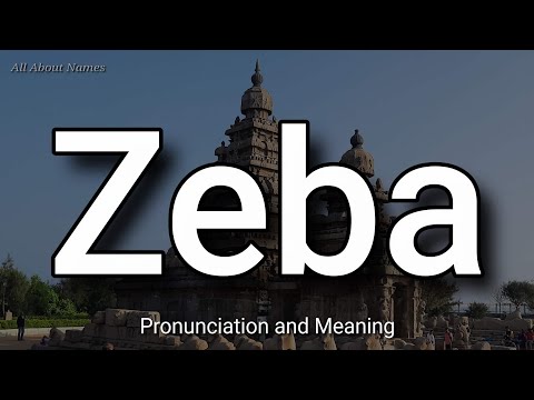Zeba: Pronunciation and Meaning