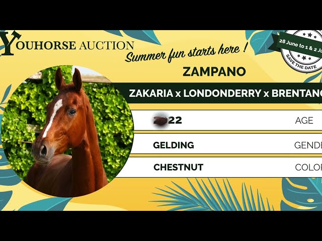 Youhorse.auction | Zampano