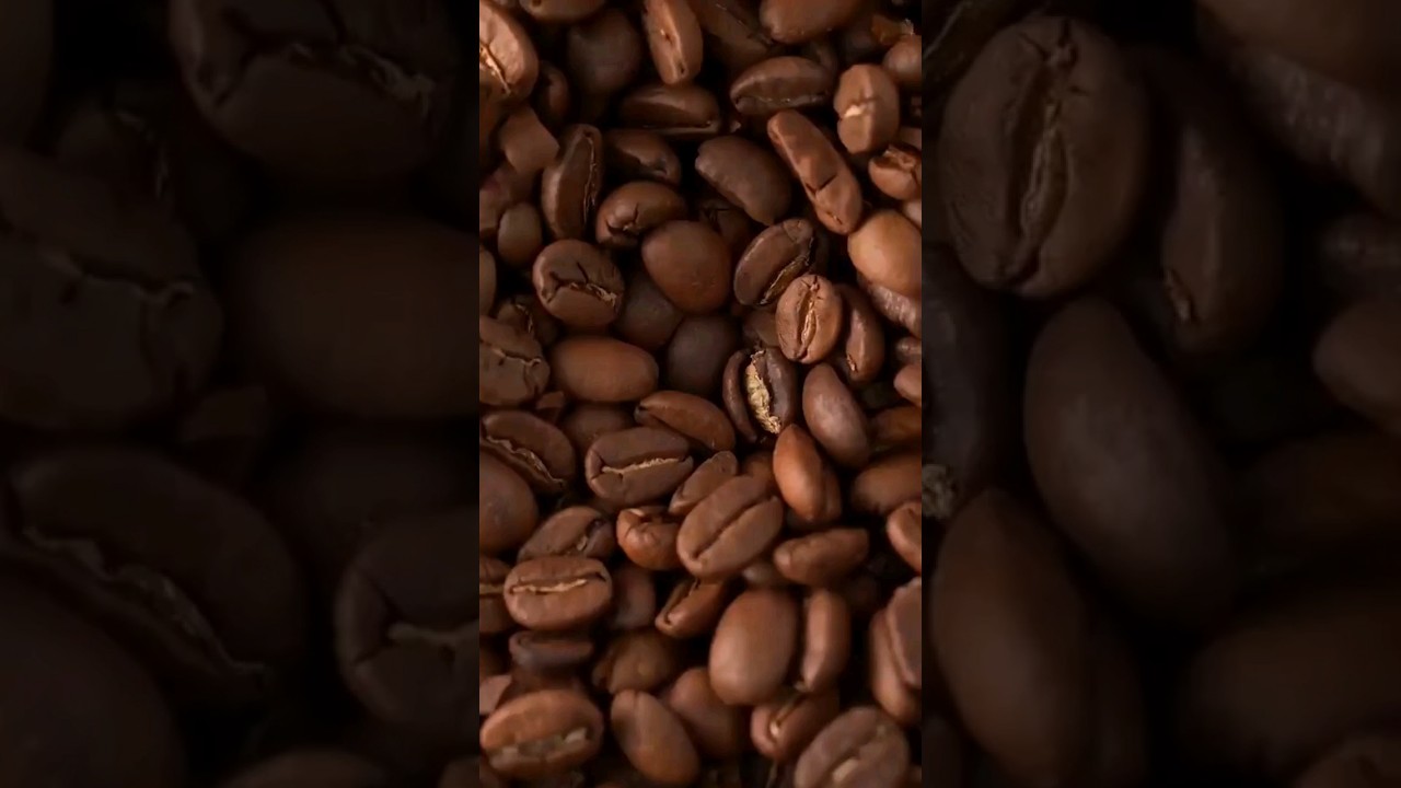 4 fun facts about coffee #coffee #cafe #coffeelover #coffeeadict