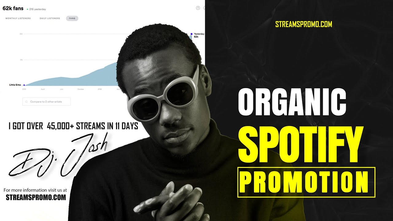 Organic Spotify Promotion | Buy Spotify Streams & Listeners for more Organic Spotify Growth
