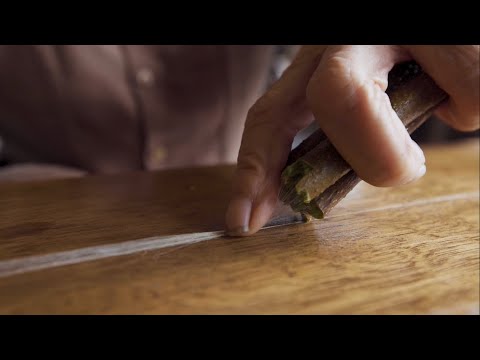 Why Lotus Silk Is So Expensive | So Expensive