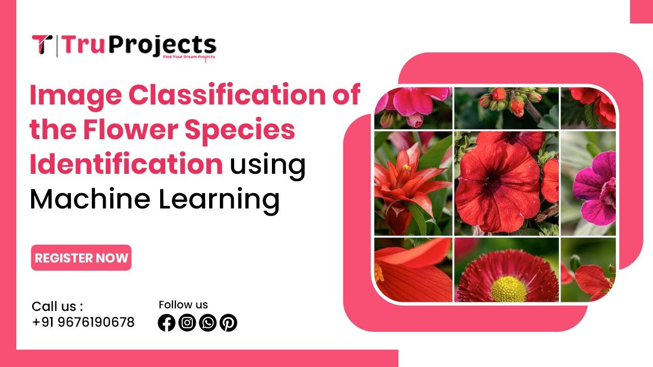 Image Classification of the Flower Species Identification using Machine Learning II FINAL YEAR BTECH