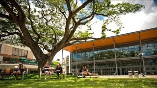 3 Best Recreation Centers in Honolulu, HI - Expert Recommendations