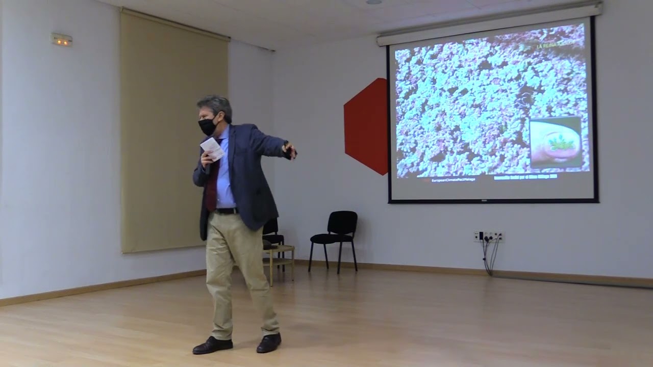 Biodiversity and climate resilience in Malaga | Enrique Salvo | TEDxEuropeanClimatePactMalaga