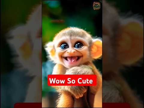 Wow, So Cute!