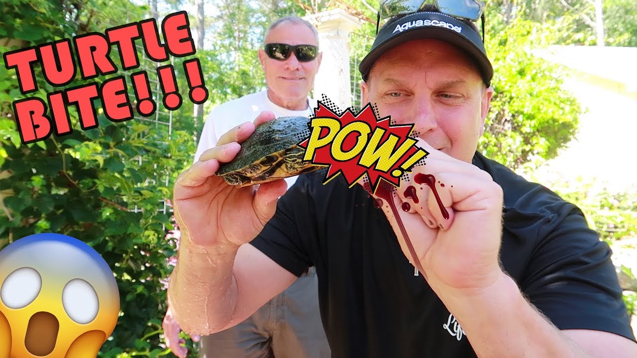 KOI POND WITH A LAKEFRONT VIEW!