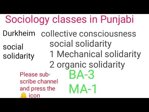 Collective consciousness according to Durkheim
