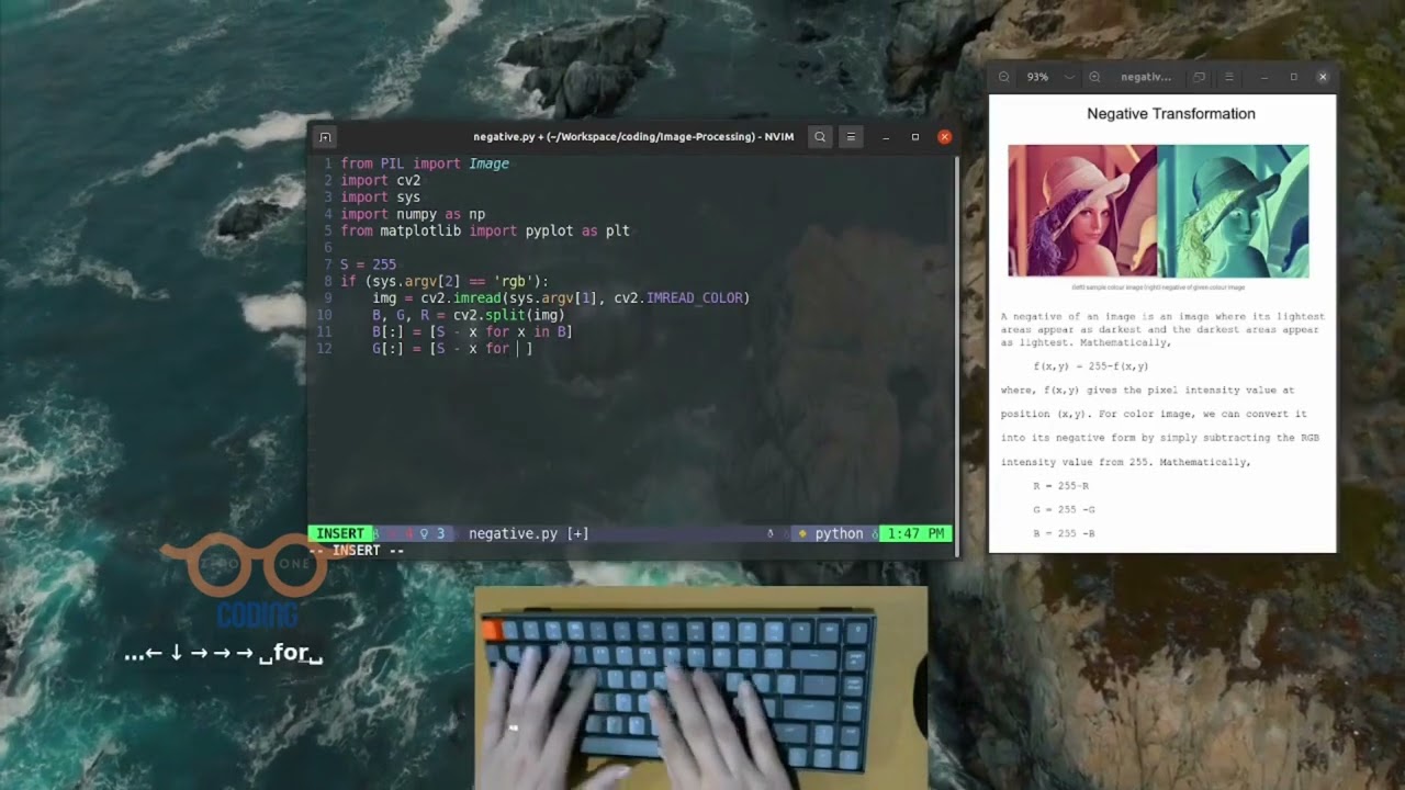 Basic Image Processing with Python | Negative Transformation | ASMR Programming