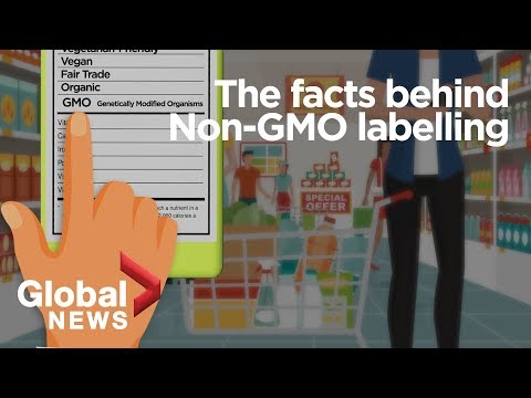 GMO foods: Why it's 'meaningless' to label genetically-modified organisms