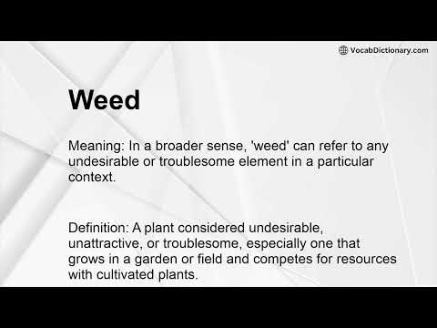 Weed Meaning