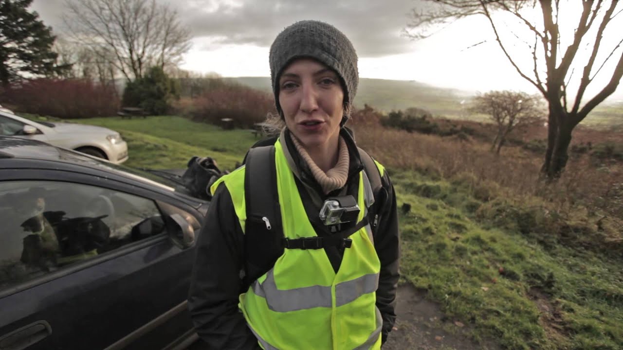 The STRAY Project overview