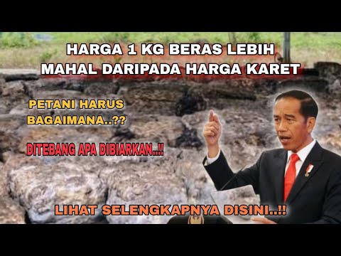 harga 1 kg beras lebih mahal daripada harga 1kg karet.