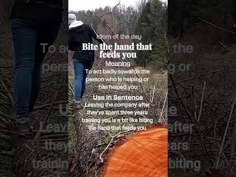 Bite the hand that feeds you - English idiom with pronunciation #youtubeshorts #ytshorts #idiom #css