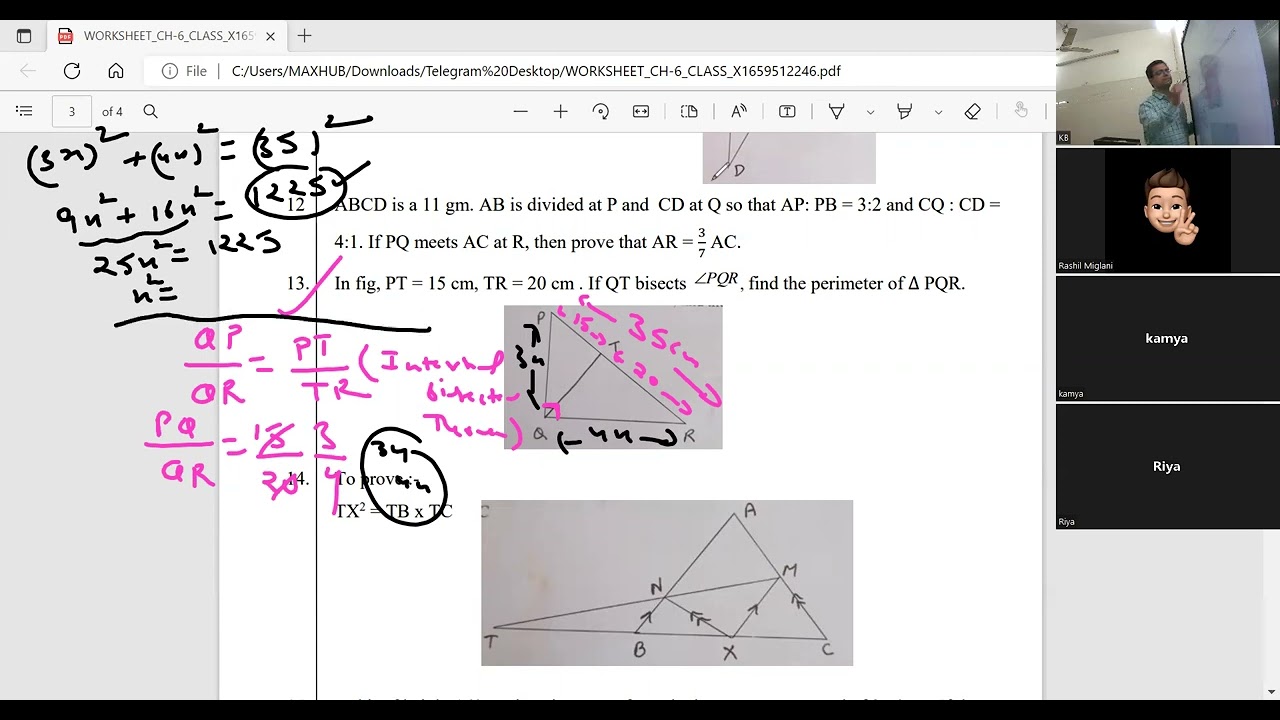 class 10th scholars worksheet Triangles