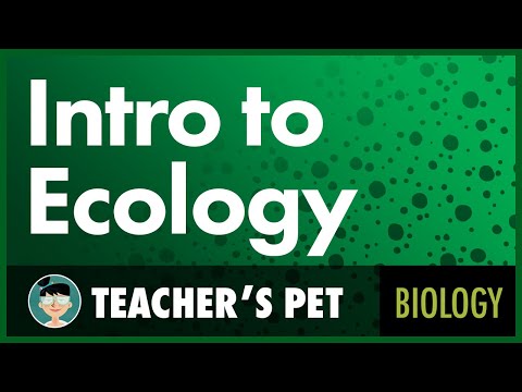 Introduction to Ecology general voca…: English ESL video lessons