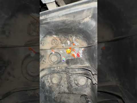 STANDARD CAR WORKSHOP SUMERPUR #automobile #mechanic #mechaniclife #repair #shorts #short