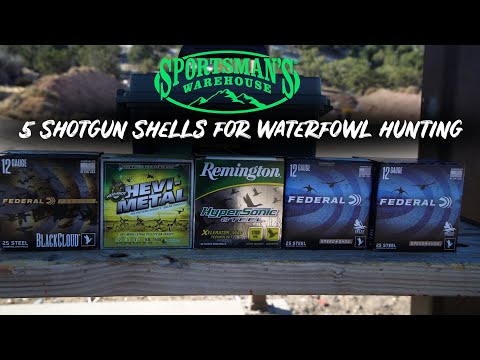Ammo Review: 5 Shotgun Shells for Waterfowl Hunting