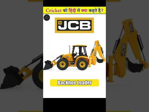 Cricket को हिंदी में क्या कहते है?🤔 #shorts #factsmine