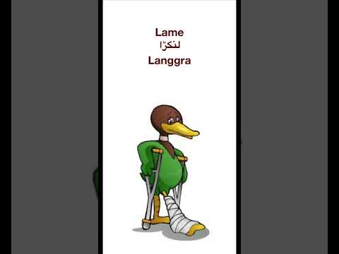 Lame means in Urdu and Hindi is lungra #howtospeakenglish #vocabulary #dailyword @H2sev