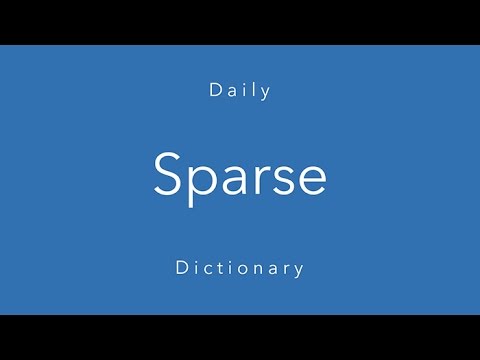 Sparse (Daily Dictionary)