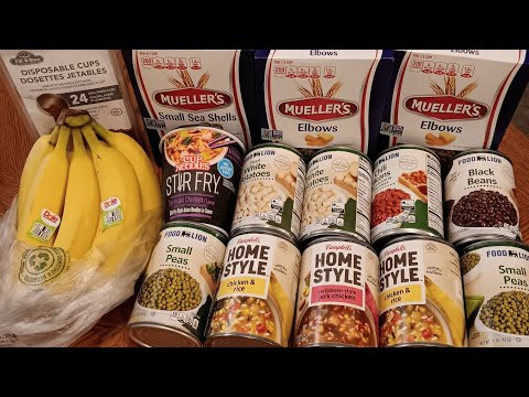 $20 Grocery Haul- Food Lion