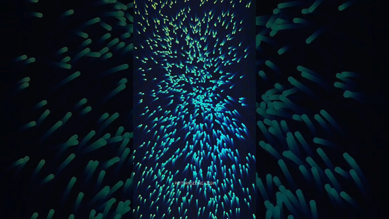 creative coding | flocking #generativeart #simulation #programmingart