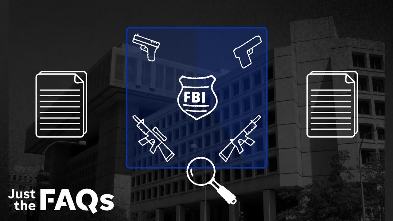 Here’s how the federal gun background check system works in the US | JUST THE FAQS