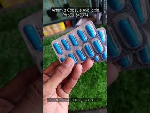 Artemia Capsule Avail YA Aquarium & pet's #surandaipetshop #surandaiaquarium #surandai #surandaifish