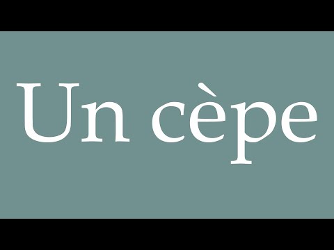 How to Pronounce ''Un cèpe'' (A porcini mushroom) Correctly in French