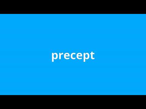 what is the meaning of precept