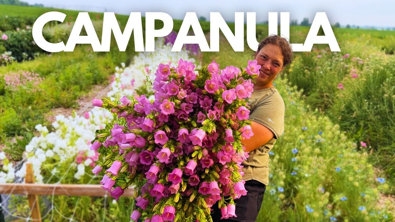 Florists Keep Asking for This Flower
