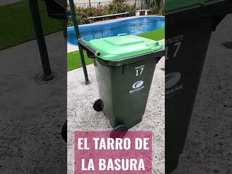 HOW TO SAY TRASH CAN IN SPANISH #shorts #spanish #spanishvocabulary #spanishvocab #spanishwords