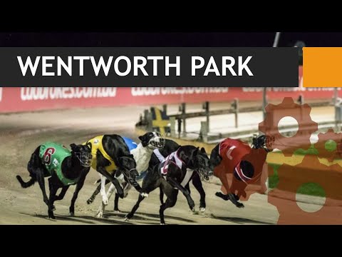 [WENTWORTH PARK] AUSTRALIAN GREYHOUND RACE ANALYSIS