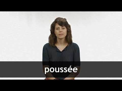 English Translation of “POUSSÉE” | Collins French-English Dictionary