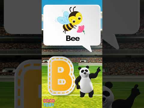 Words for letter "B" COCO and TOBY Kids learning | Preschool | Kindergarten | Nursery