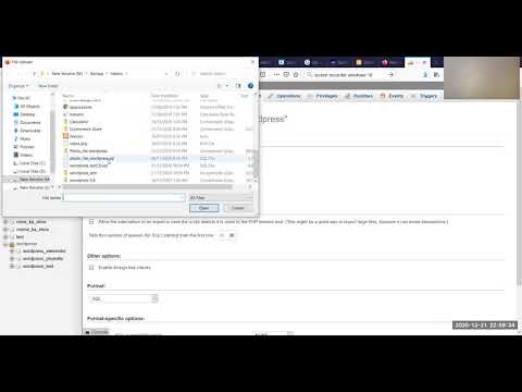 How to import and export Database and website created in localhost PHPMyAdmin | Xampp Tutorial