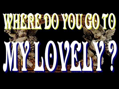 WHERE DO YOU GO TO , MY LOVELY ? / DAVOS ELITE SPECIAL