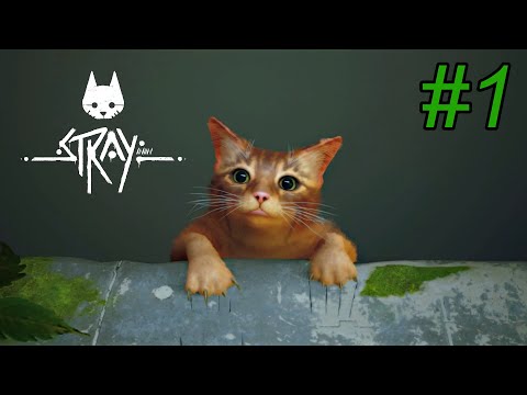 Steam Community :: Stray