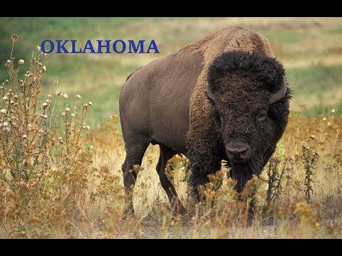 Oklahoma's Geography