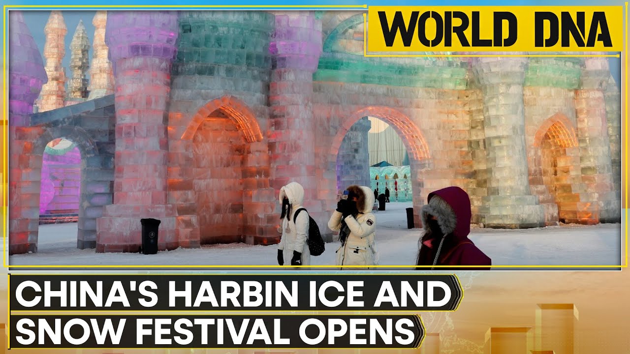 China's Harbin Ice Festival: World's Largest 1.2M sqm Winter Wonderland Opens | WION World DNA
