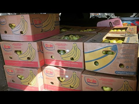 What to Make with Bushels of Apples