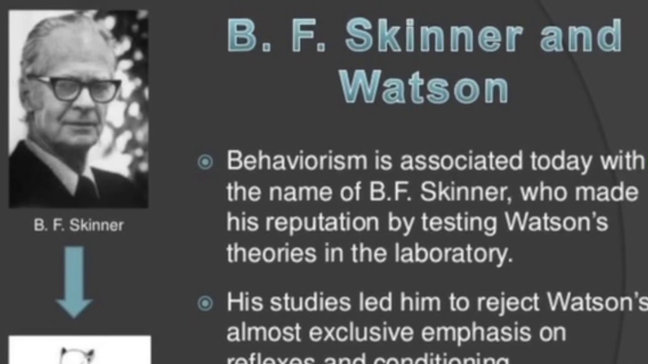 Assignment 3 (Learning Video)